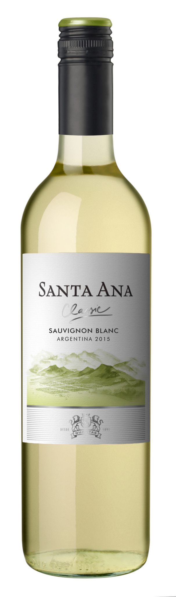 SANTA ANA Sauvignon Blanc vynas - Prike
